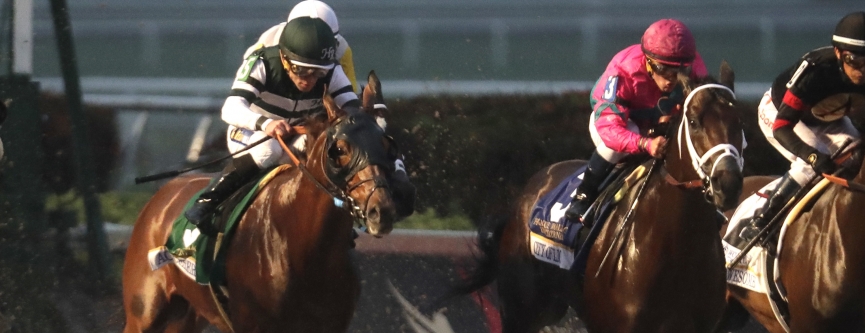 Horseracing Picks Off Turf Races - Gulfstream Park Friday May 15, 2020 ...